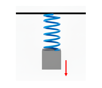 ប៉ោលយឺតនៃរ៉ឺស័រតាមទិឈរ Vertical Oscillation of Spring - Vijjea